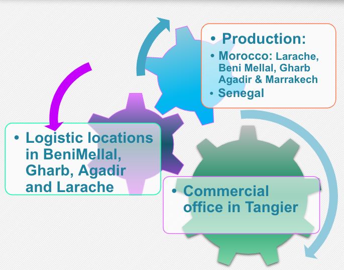 Morocco Trade expert – We bring you freshness…